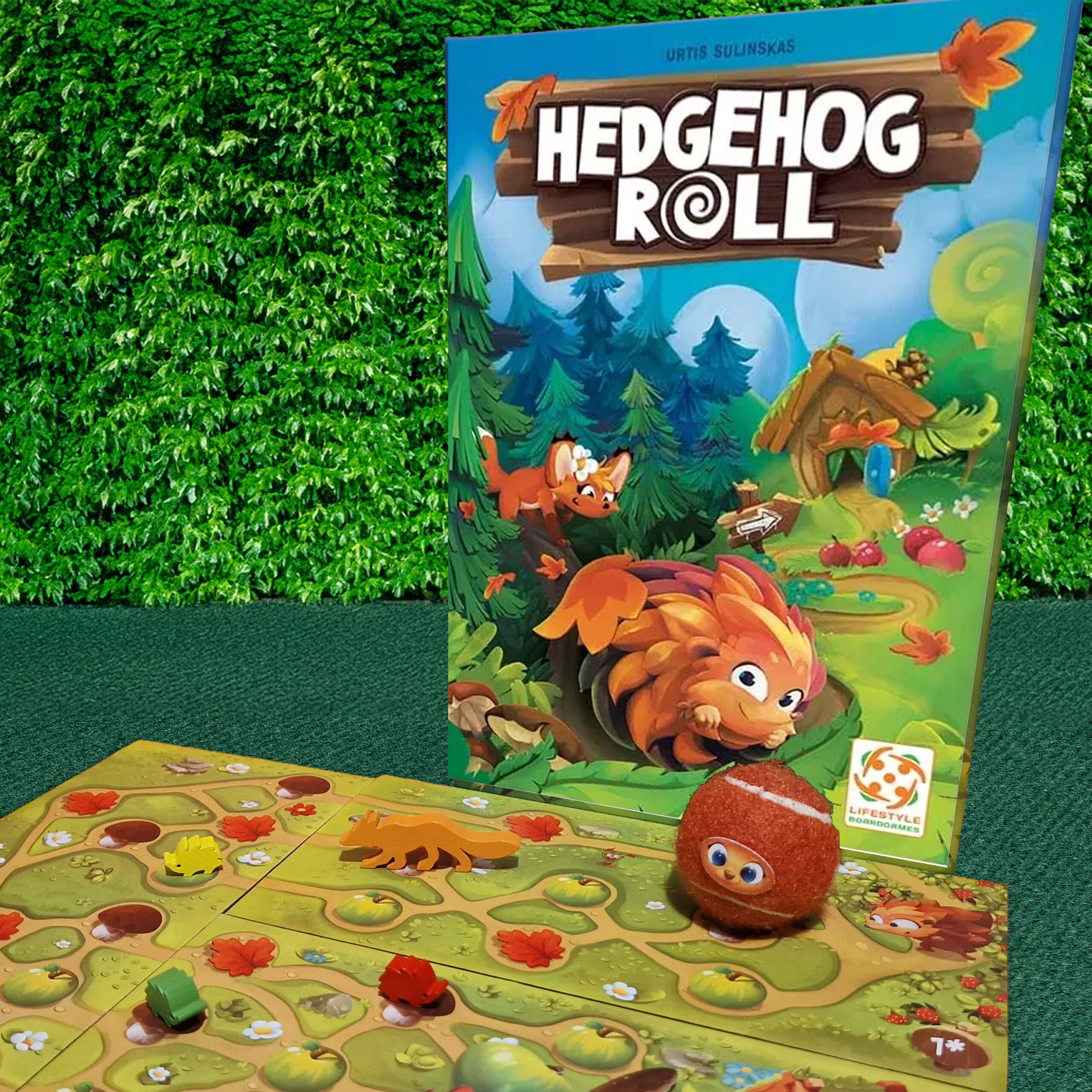 Hedgehog Roll - Little Board Gamers